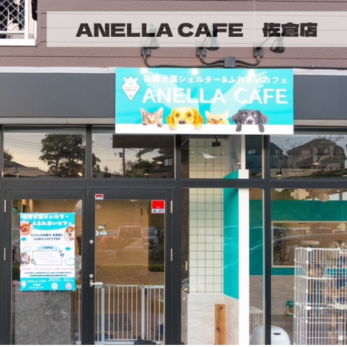 店舗リスト | ANELLA CAFE(アネラカフェ)