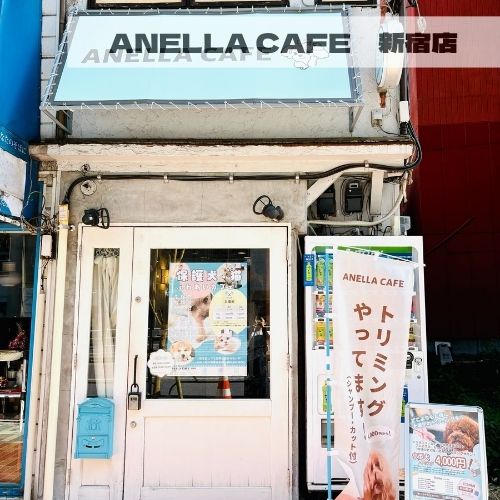 ANELLA CAFE 新宿店 | ANELLA CAFE(アネラカフェ)