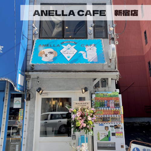 ANELLA CAFE 新宿店 | ANELLA CAFE(アネラカフェ)