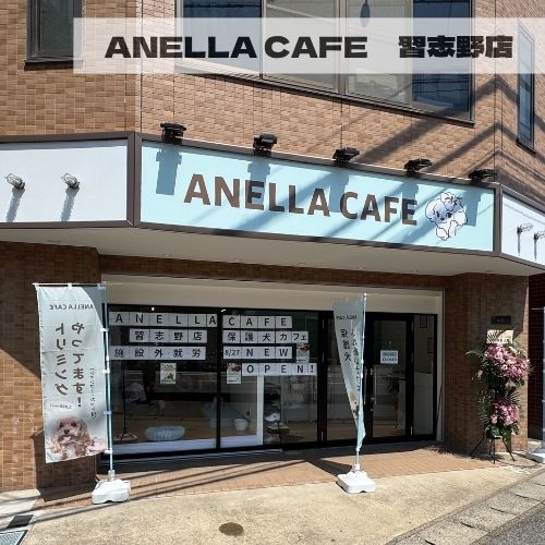 ANELLA CAFE 習志野店 | ANELLA CAFE(アネラカフェ)